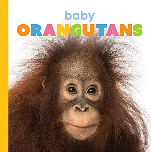 Baby Orangutans (Starting Out): Riggs, Kate: 9781628328837: Amazon.com: Books