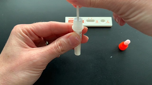 Watch Quick Demonstration of this Simple to Use Home COVID Test on ...