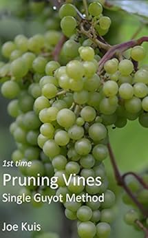 1st Time PRUNING VINES: Single Guyot System (Gardening self help) eBook ...