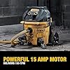 DEWALT Wet/Dry Vacuum HEPA Dust Extractor 10 Gallon with Automatic ...