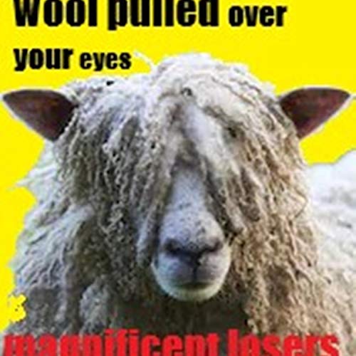 Wool Pulled Over Your Eyes de The Magnificent Losers en Amazon Music ...