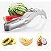 Amazon.com: C&P Watermelon Slicer - The Official Premium Stainless ...