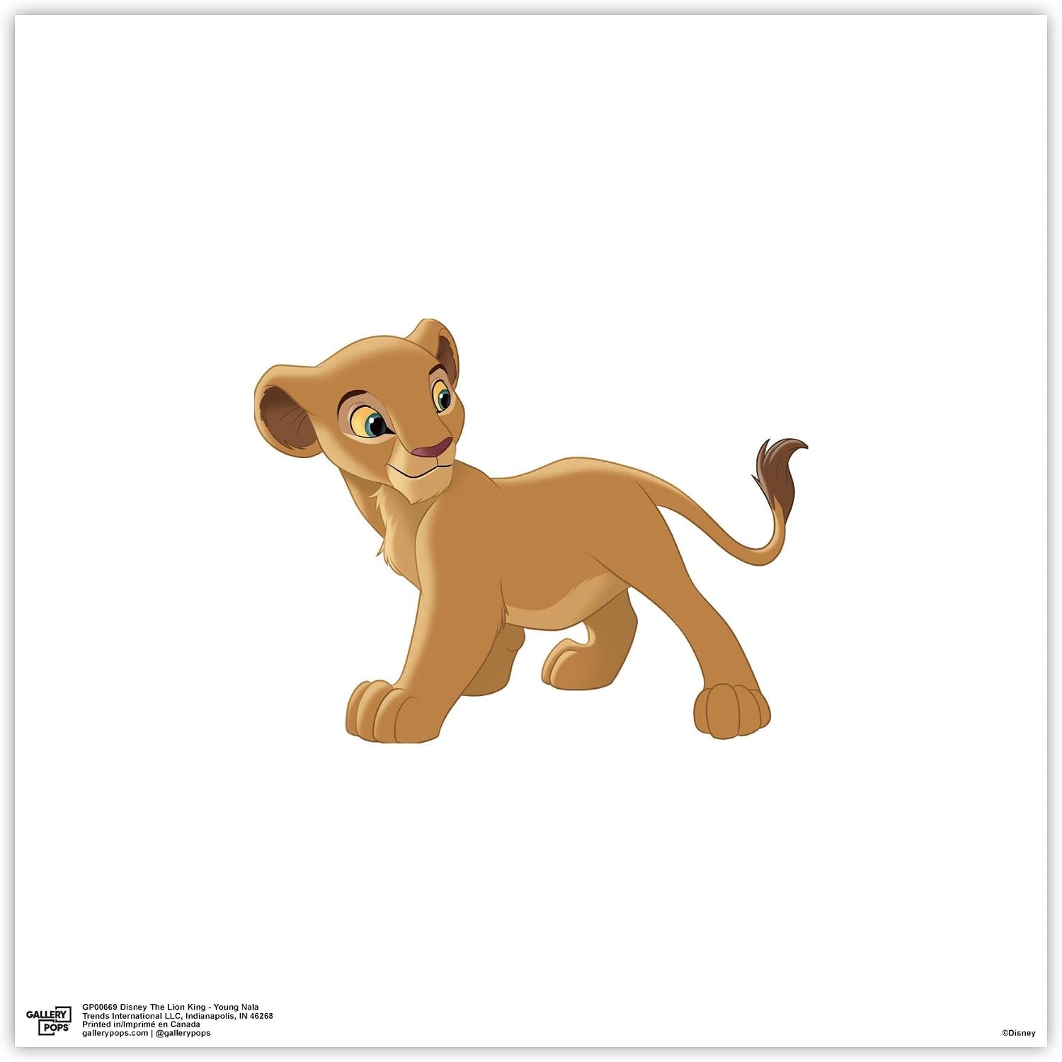 Amazon.com: Trends International Gallery Pops Disney The Lion King ...