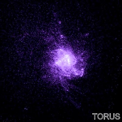 Amazon.com: Torus : Torus: Digital Music