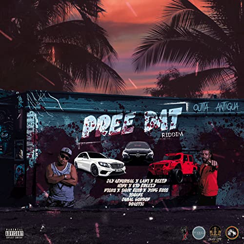 Pree Dat Riddim de VARIOUS ARTISTS en Amazon Music Unlimited