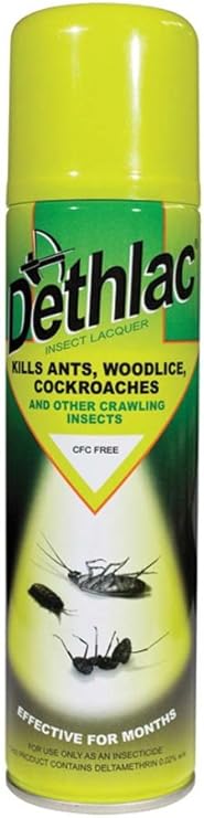 Dethlac Insecticidal Lacquer- 250 ml Aerosol Knockdown Spray in the ...