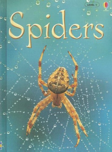 Spiders (Usborne Beginners): Rebecca Gilpin: 9781580869461: Amazon.com ...