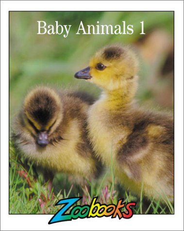 Baby Animals (Zoobooks Series): 9781888153453: Amazon.com: Books
