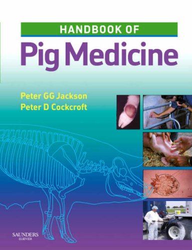 Handbook of Pig Medicine: 9780702028281: Medicine & Health Science ...