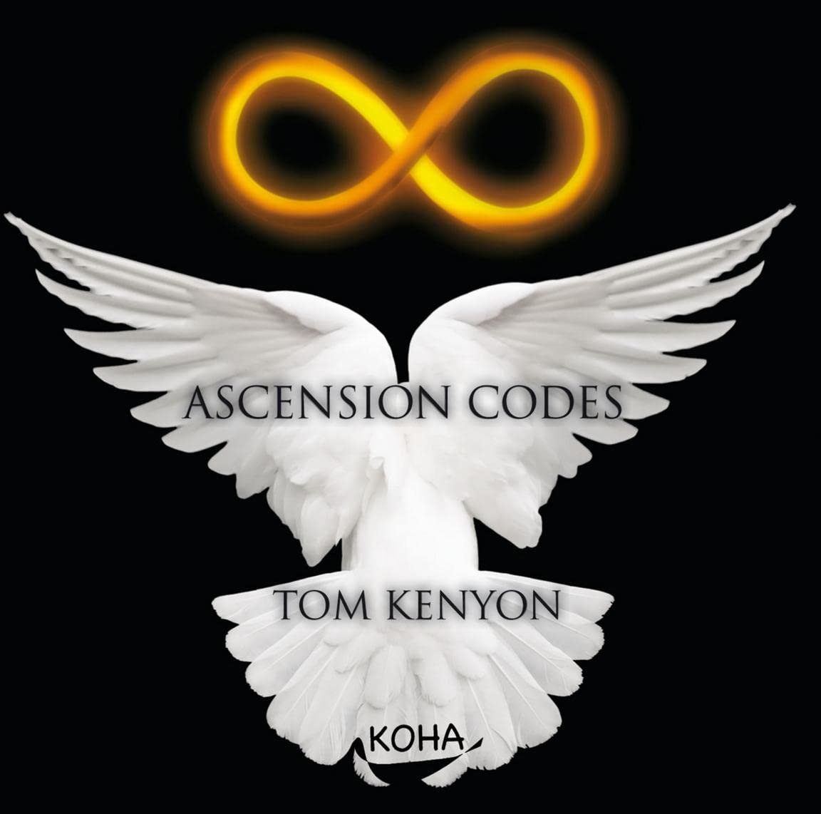 Amazon.com: Ascension Codes: 9783867281461: Tom Kenyon: Books