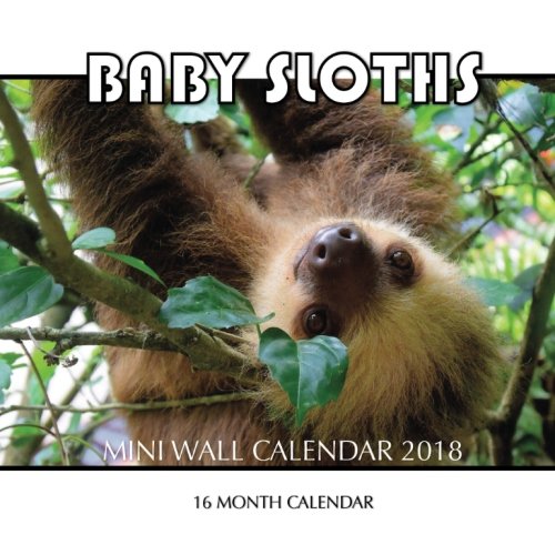 Baby Sloth Mini Wall Calendar 2018: 16 Month Calendar: Jenson, Paul ...