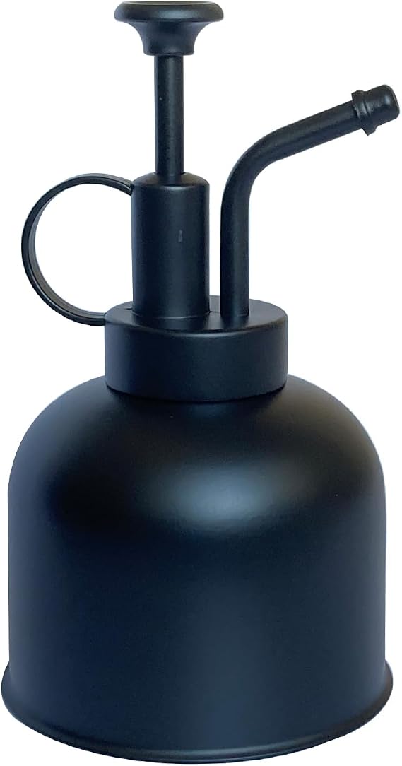 Amazon.com: Lianshi Stainless Steel Plant Sprayer, Small Watering Can ...