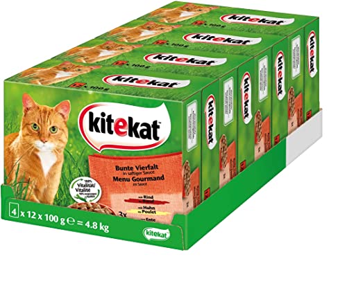 Kitekat Kitten – Die 16 besten Produkte im Vergleich - Haustierratgeber ...