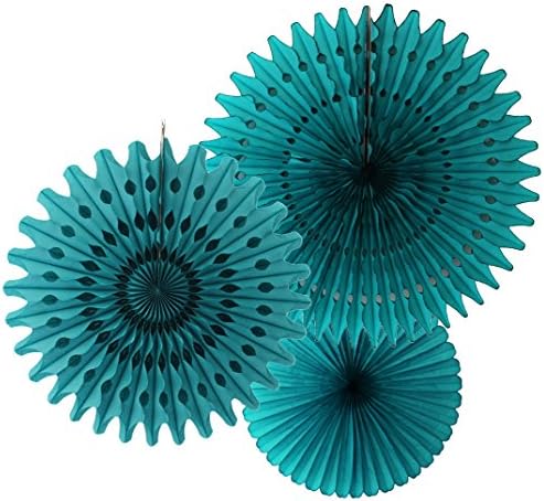Amazon.com: Set of 3 Honeycomb Tissue Fans, Black (13-21 Inch) : Home ...