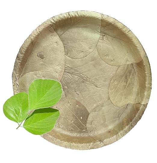 Buy Natural Original Moduga Leaf Plate (25 Plates)| Palash Meal Plate ...