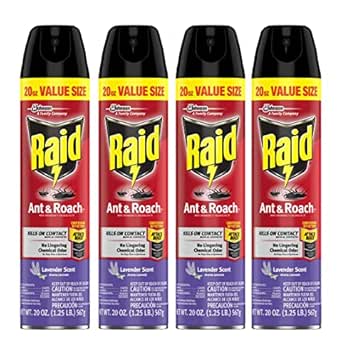 Amazon.com: Raid Ant & Roach Killer Spray for Listed Bugs, Keeps ...
