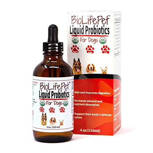 Amazon.ca Best Sellers: The most popular items in Dog Probiotic Supplements