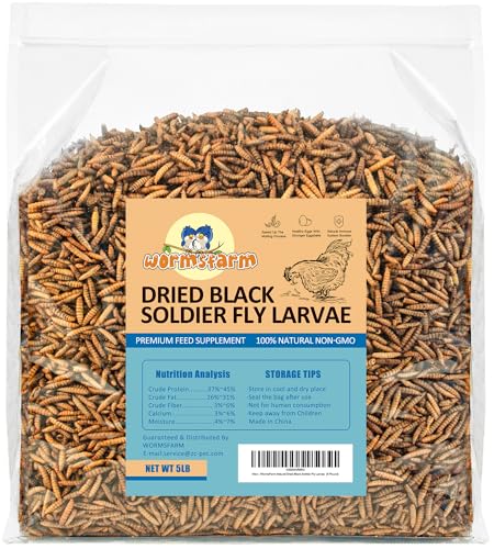 Snapklik.com : WormsFarm Natural Black Soldier Fly Larvae For Chicken ...
