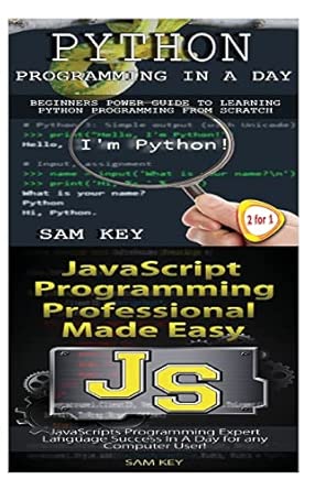 Python Programming In A Day & JavaScript Professional Programming Made ...