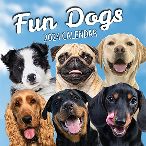 10 Best Dog Calendars