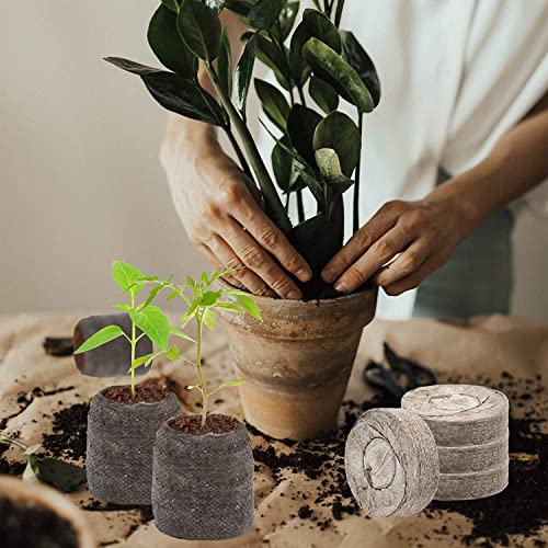 ZeeDix 200 Pcs 40mm Peat Pellets for Seedlings, Compressed Seed Starter ...
