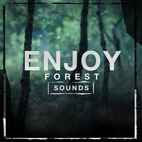 Play Enjoy Forest Sounds by Forest Sounds on Amazon Music