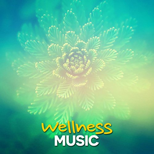 Play Wellness Music by Wellness on Amazon Music
