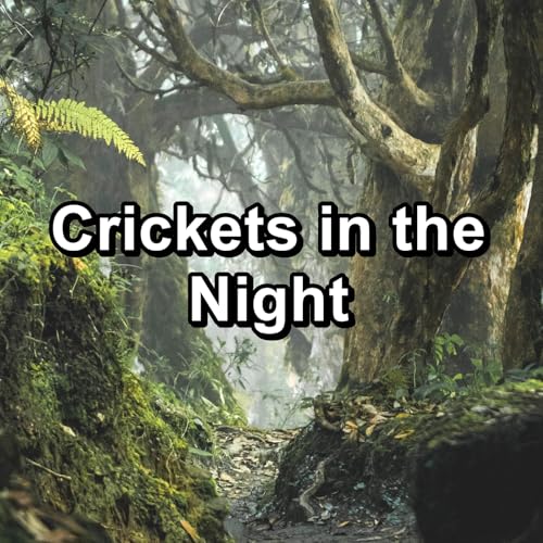 Amazon Music - Nature Sounds Nature MusicのCrickets in the Night ...