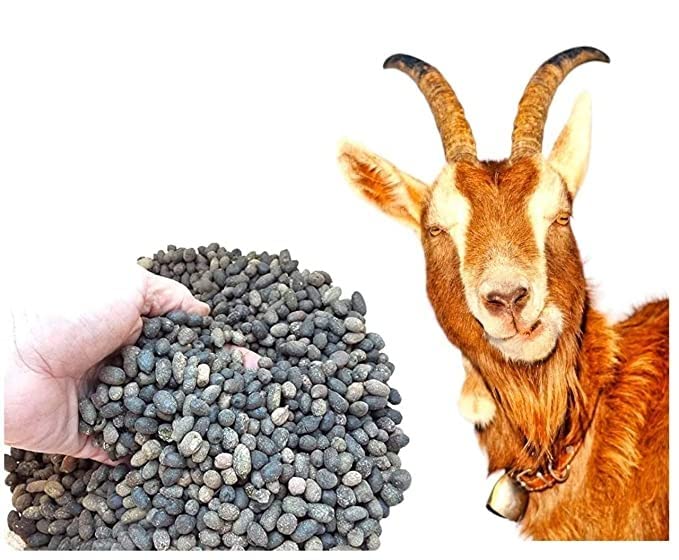 Thukil - Goat Dung Manure for Flowering Plants, Fruits & Vegetables ...