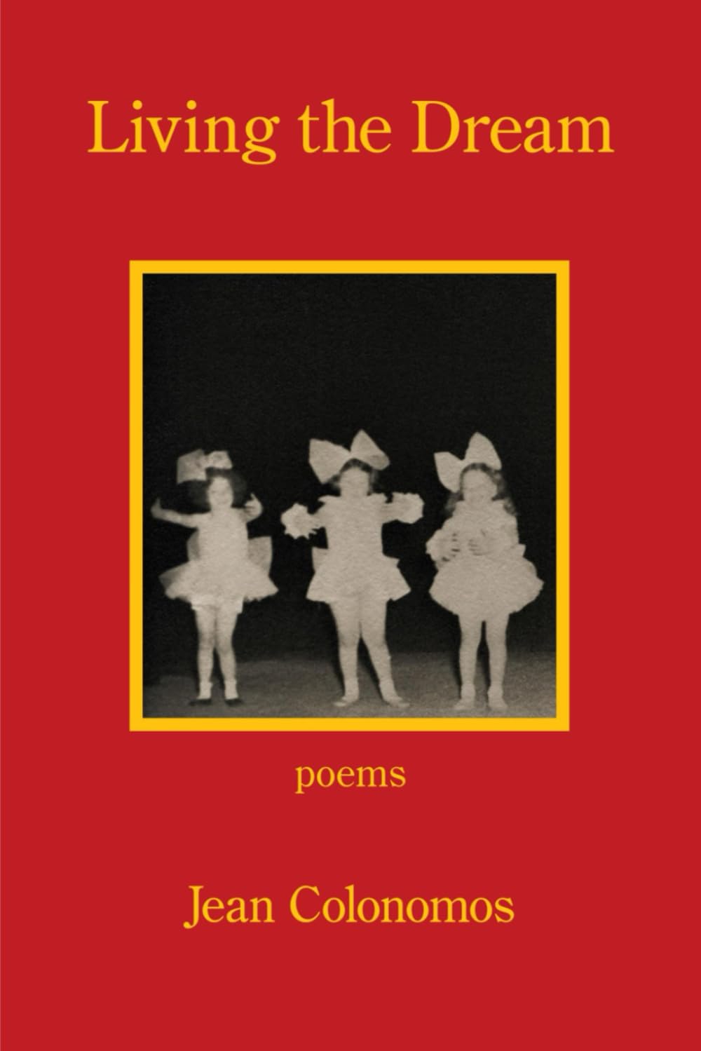 Amazon.com: Living the Dream: 9781639805068: Colonomos, Jean: Books