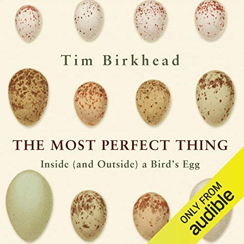 The Most Perfect Thing (Audio Download): Tim Birkhead, Gareth Armstrong ...