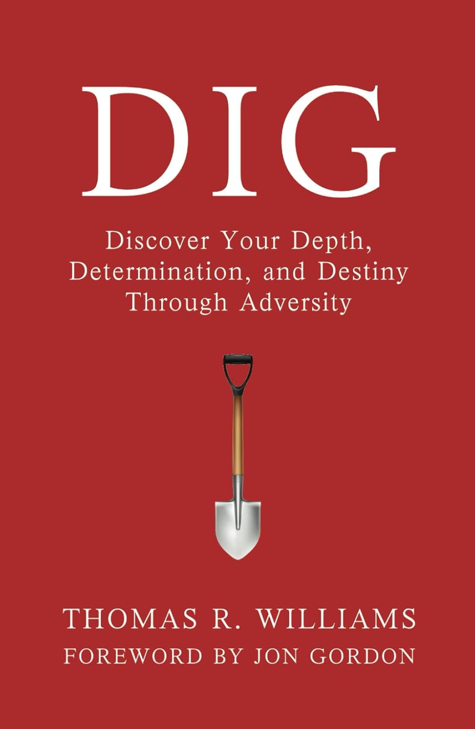 Dig: Discover Your Depth, Determination, and Destiny Through Adversity ...