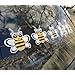 Amazon.com: Honey Bee Family Car Stickers - Full Color - Includes Queen ...