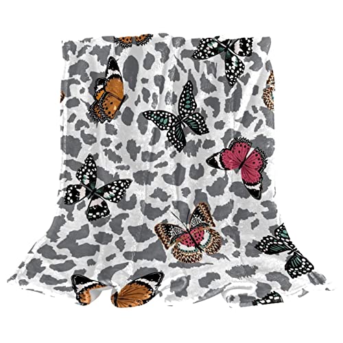 Cuerpo De Mariposa Coche Carrefour | Me pica la curiosidad