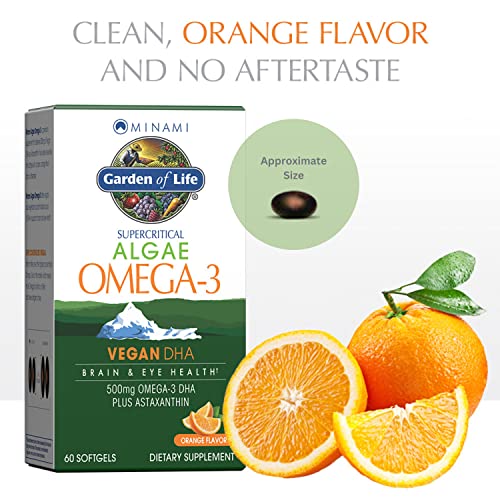 Garden of Life Minami Algae Omega 3 Vegan DHA for Brain and Eye Health ...