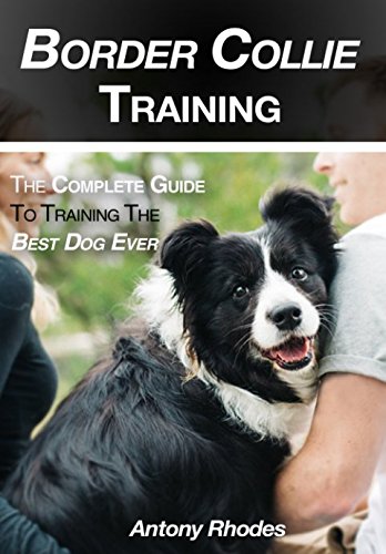 Border Collie Training: The Complete Guide To Training the Best Dog ...