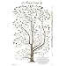 Amazon.com: Tree of Life Poster Print - Science Poster Natural History ...