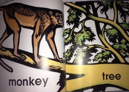 Where I Live: Wormell, Christopher: 9780803720565: Amazon.com: Books