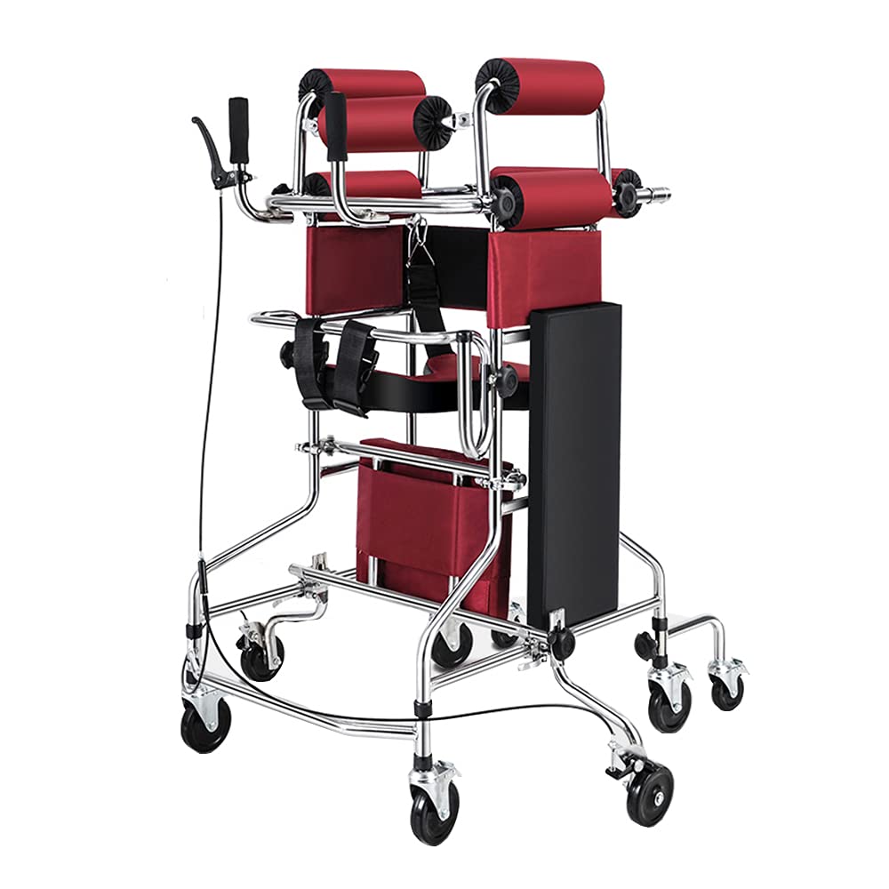 Buy XielInd Walker, Adult Walking Aids, Standing Frame for Lower Limb ...