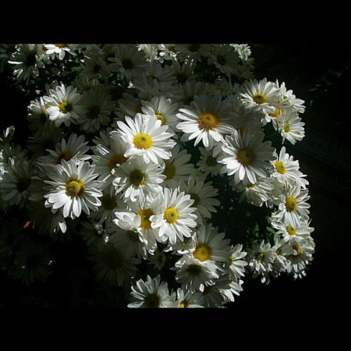 Play Devoted Spirit by Terry Kissell on Amazon Music