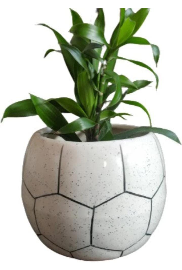 The Mug factory White Football Design Shape Ceramic Pot Plant Container ...