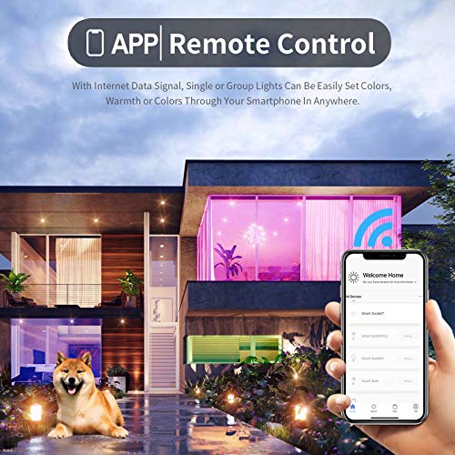 Snapklik.com : Avatar Controls Smart LED Light Bulb, Alexa Light Bulbs ...