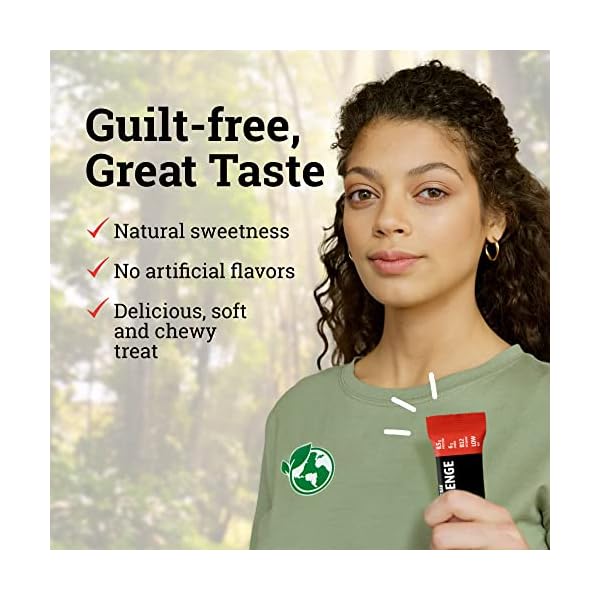 Bug Challenge Cricket Bar, Fit and Active Protein Bars, Nutritious ...