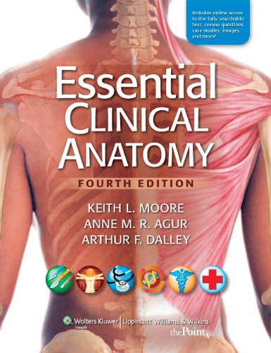 Amazon.fr - Moore Essential Clinical Anatomy, 4th Ed. + Moore's ...