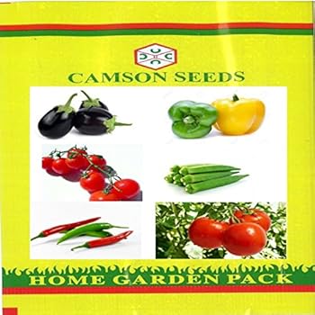 Seedstores : Hybrid Vegetable Seed Kit-1 for Kitchen Terrace Poly House ...