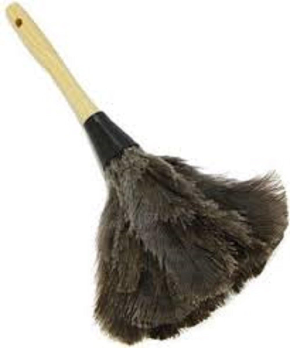 Amazon.com: Abco S. Ostrich Feather Duster - 12" : Health & Household