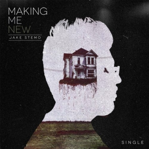 Amazon.com: Making Me New : Jake Stemo: Digital Music