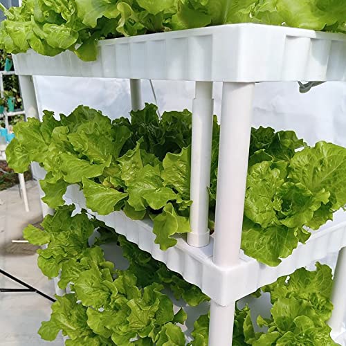 NDRFAWY Hydroponics Multi Level Growing Systems,5 Layers Indoor ...