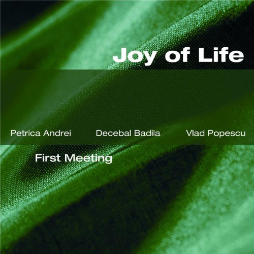 Amazon.com: Joy of Life - First Meeting : Petrica Andrei, Decebal ...