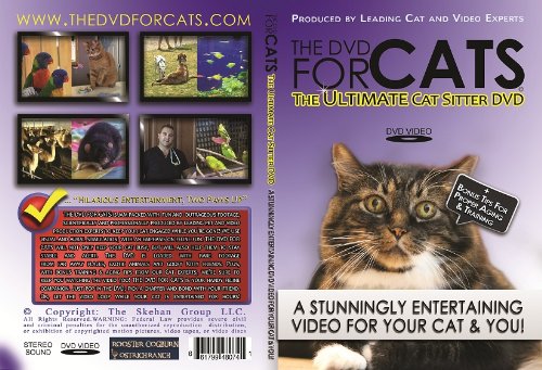 Amazon.com: THE DVD FOR CATS: The Ultimate Cat Sitter DVD : Josh Skehan ...